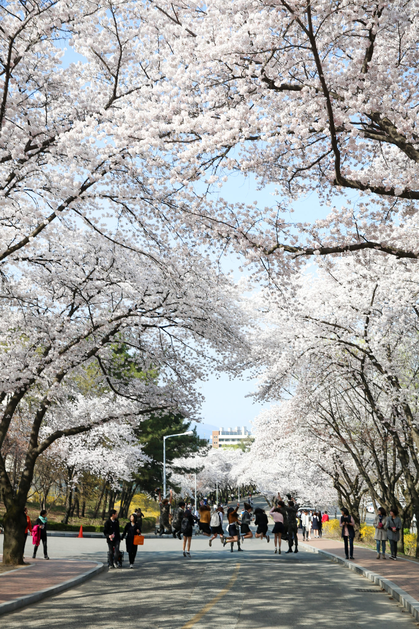 Study Korean in Korea - Yeungnam University - 영남대학교