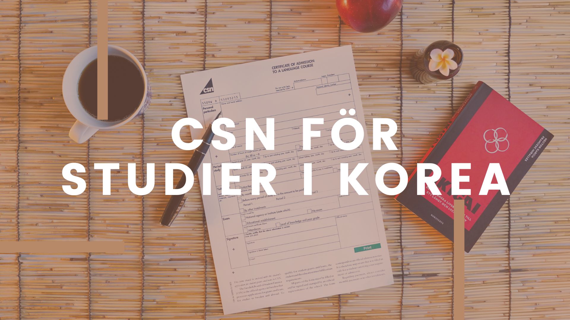 CSN-guide for studier i Korea - Go! Go! Hanguk