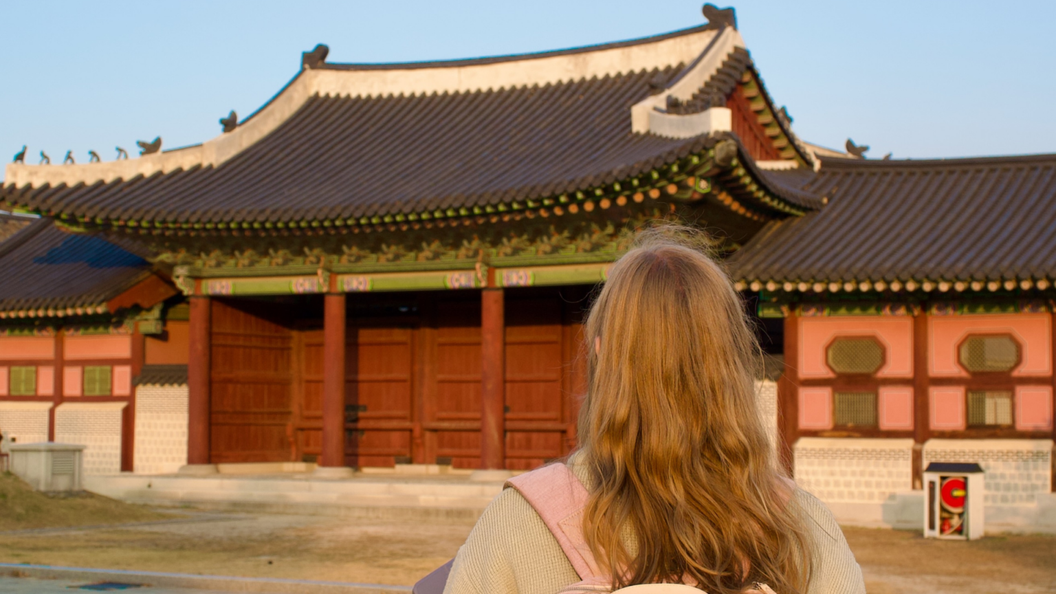 Short and long-term options for studying in Korea