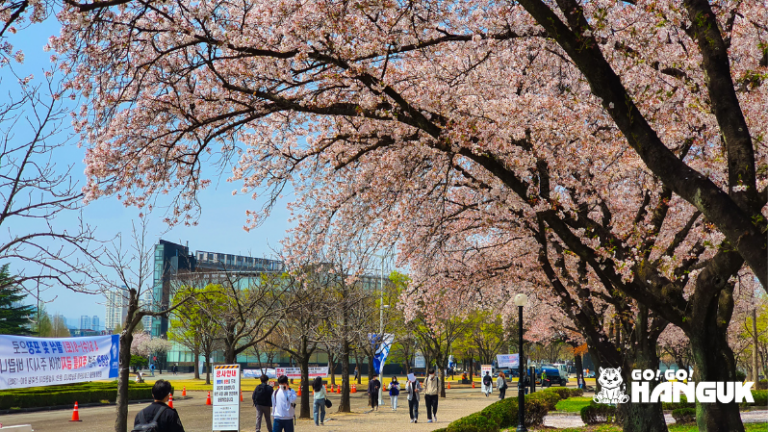 Visit these 7 places for an amazing student life at Yeungnam University ...