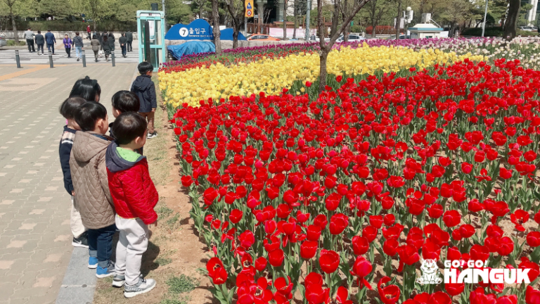 5 datos fascinantes sobre la primavera en Corea - Go! Go! Hanguk